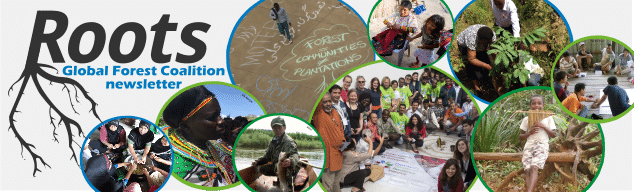 Global Forest Coalition Subscribe to our e-newsletter and other ...