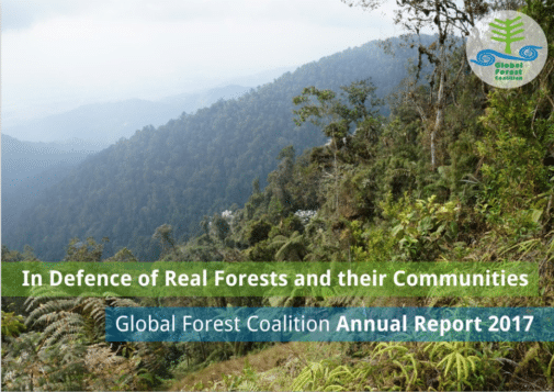 GFC Annual Report 2017 - Global Forest Coalition