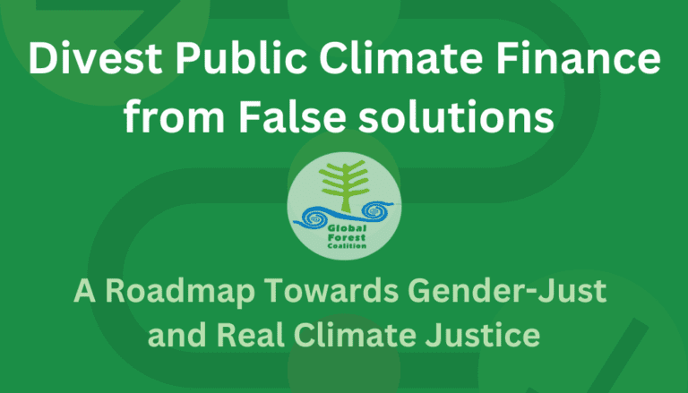 Global Forest Coalition REPORT | TFFF: A False Solution for Tropical ...