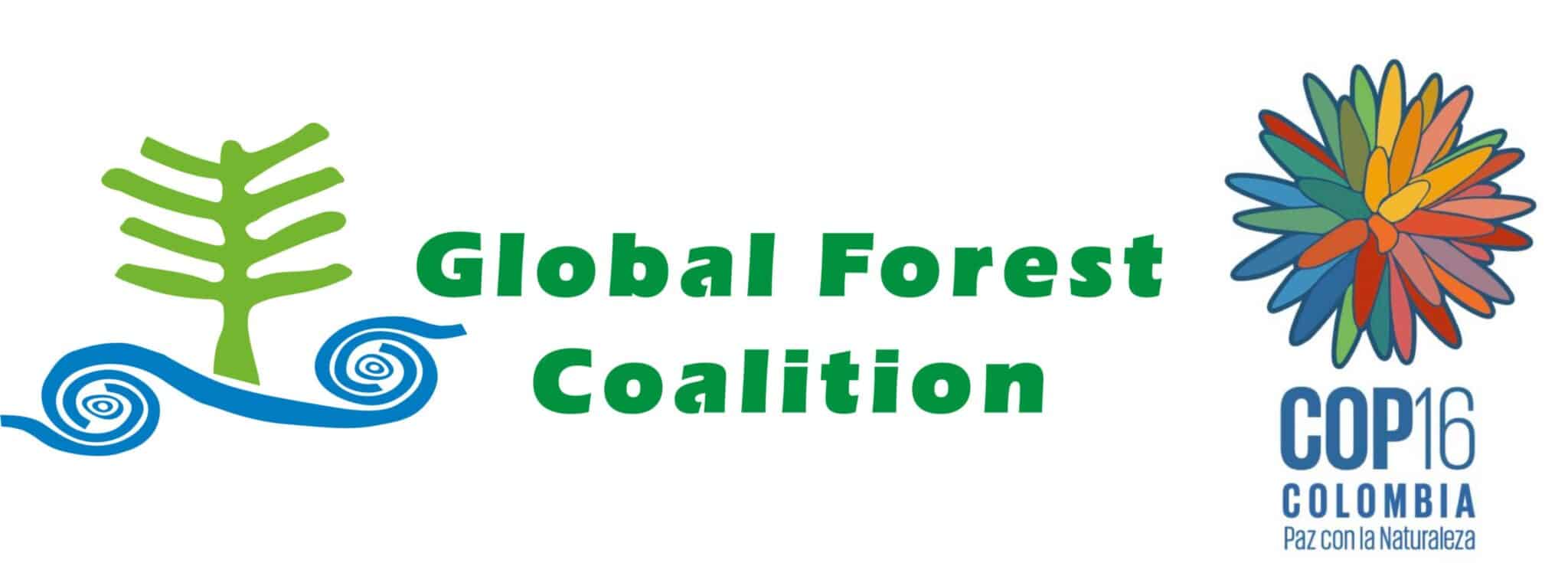 Global Forest Coalition at CBD COP16 Real Solutions, Not False Promises ...