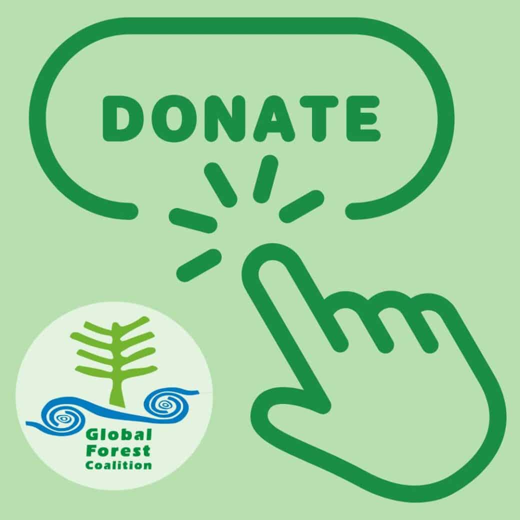 Global Forest Coalition People - Global Forest Coalition