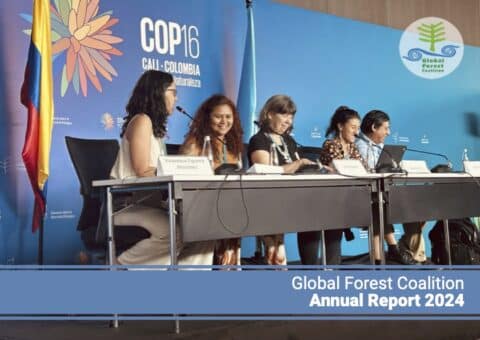 GFC Annual Report 2024 - Global Forest Coalition